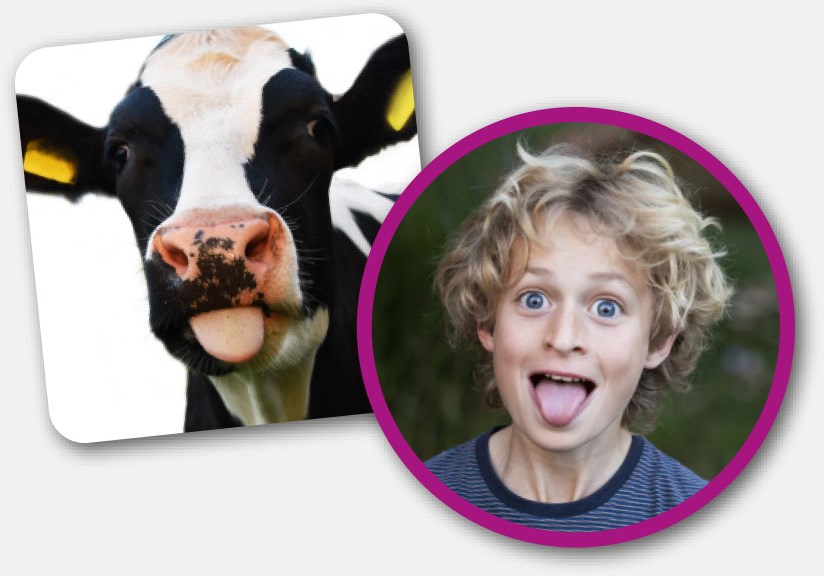 Dierenmemes Voor Kinderen Opgerold Inpakpapier Met Kerstmoo